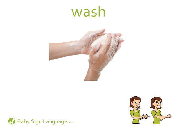 Wash Wash