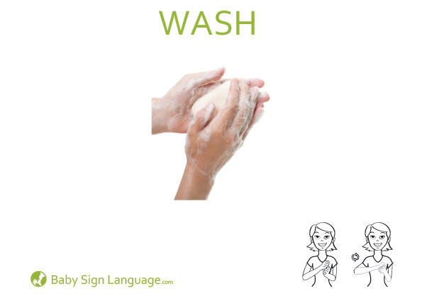Wash Wash