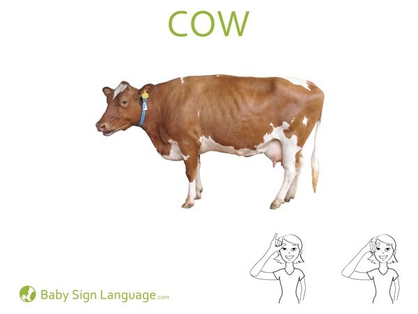 Index of /wp-content/uploads/2010/05/